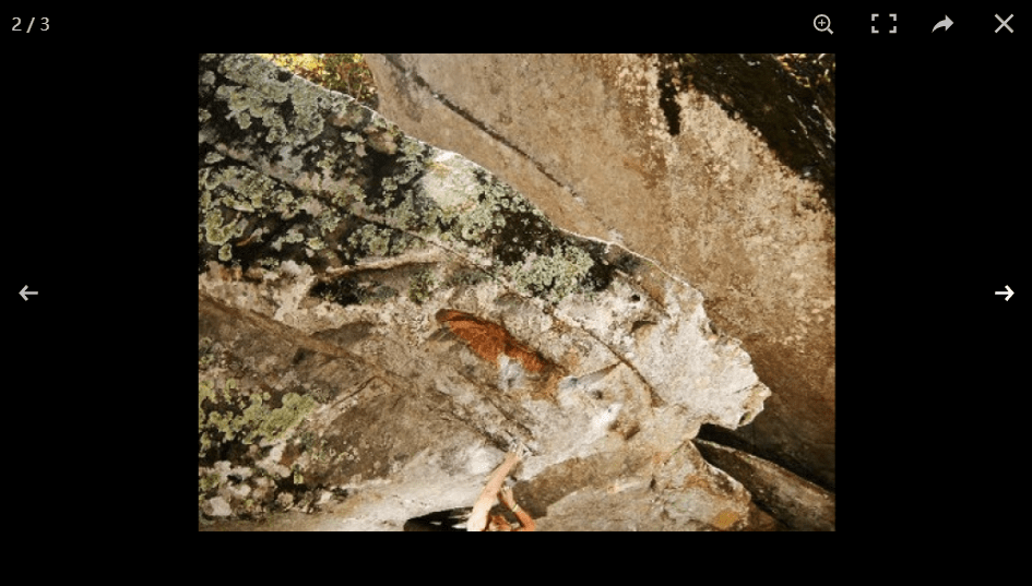 7 Best Vue.js Gallery Components To Showcasing Images In An Elegant Way ...